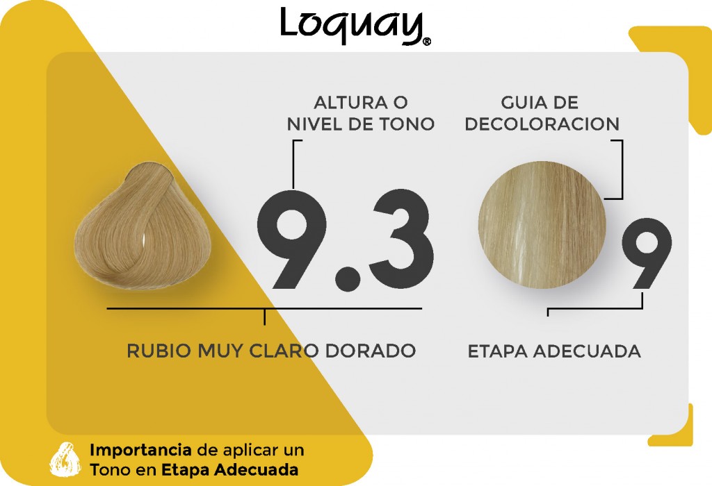 Importancia de aplicar un Tono en Etapa Adecuada. – Tinte para el Cabello – Tips y Tendencias